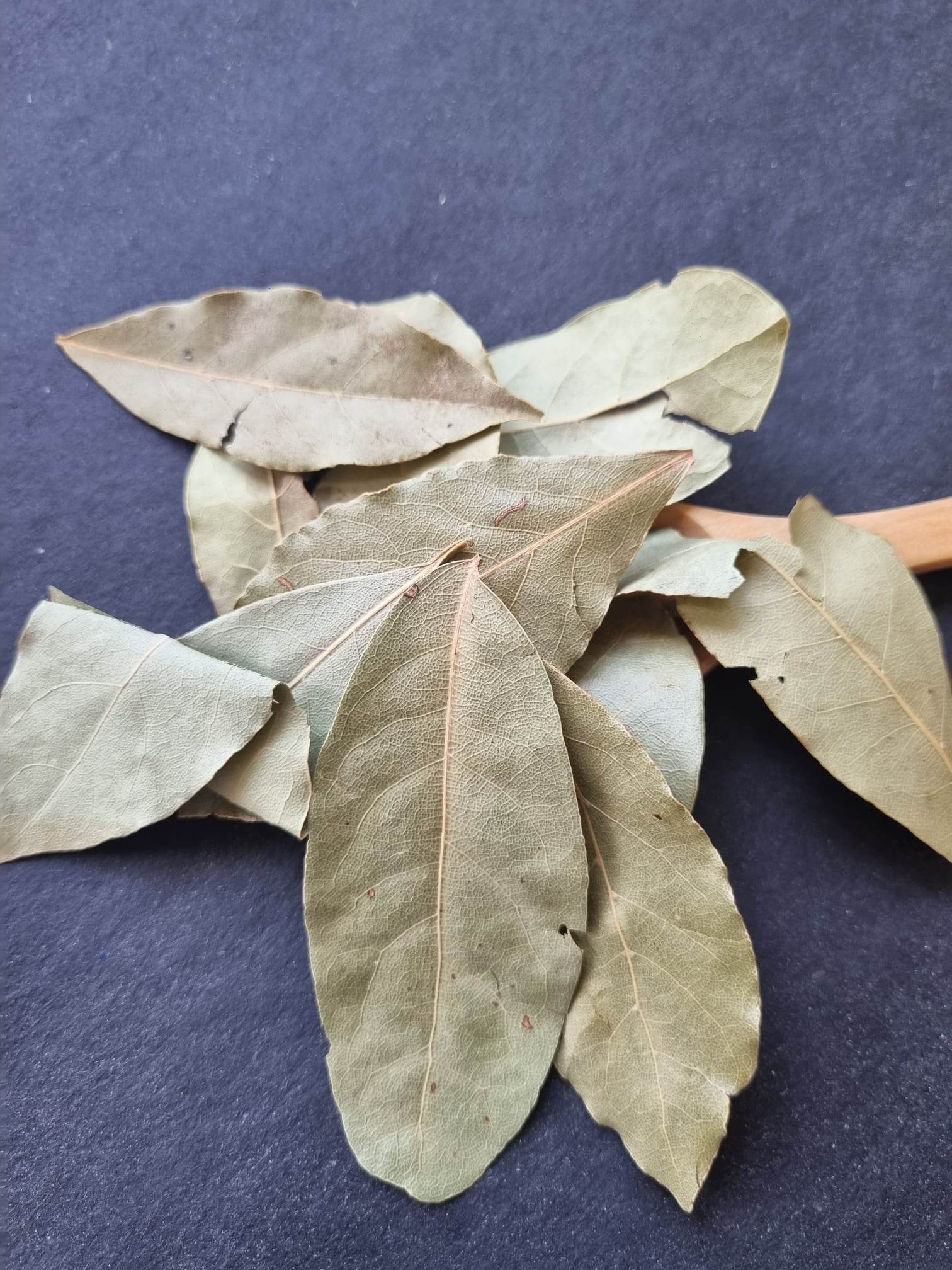 Herbal BAY LEAVES – jaromihouse